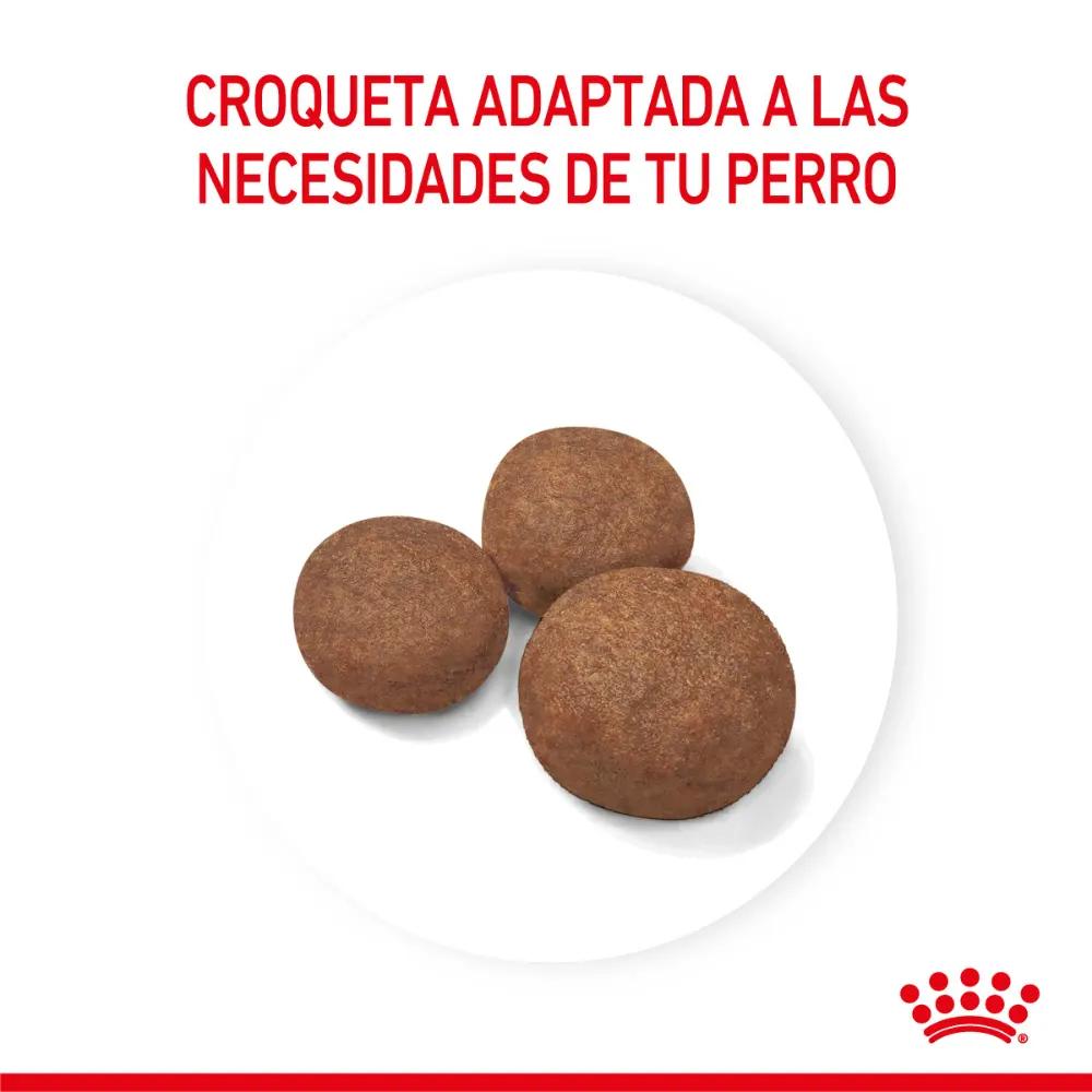 Royal Canin Medium Puppy - 15 Kg - Bacanes Pet Shop